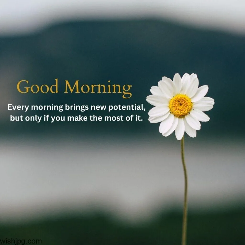 Images Of Good Morning With Quotes 56 Good Morning Quotes And Wishes